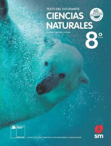Matemática – Octavo Básico | Texto del Estudiante MINEDUC – Descargar ...
