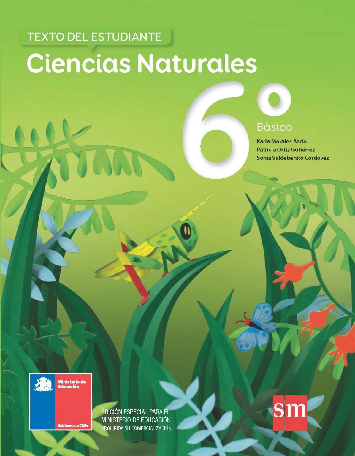 Matemática – Sexto Básico | Texto del Estudiante MINEDUC – Descargar ...